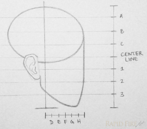 How to draw a face from the side - 10 steps | RapidFireArt