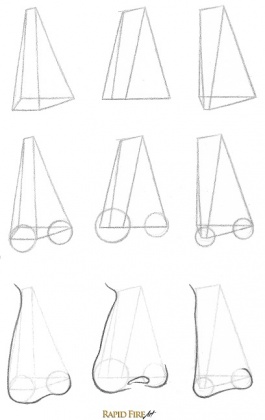 7 steps to draw a nose from the 3/4 view | RapidFireArt
