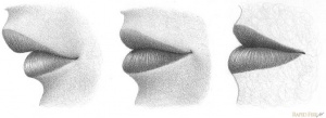 How to draw lips from the side - 12 steps | RapidFireArt