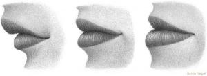 How to draw lips from the side - 12 steps | RapidFireArt