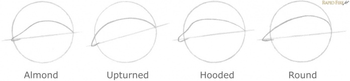 How to draw 6 different eye shapes | RapidFireArt
