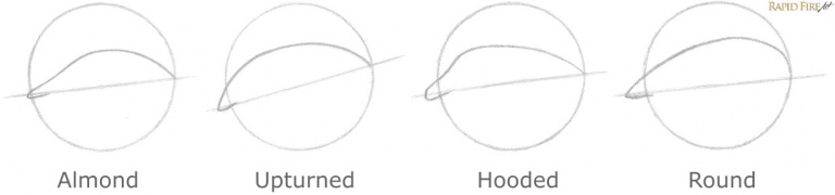 How to draw 6 different eye shapes | RapidFireArt
