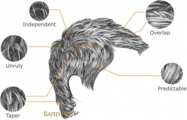 10 steps on how to draw short hair | RapidFireArt