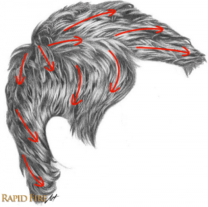 10 steps on how to draw short hair | RapidFireArt