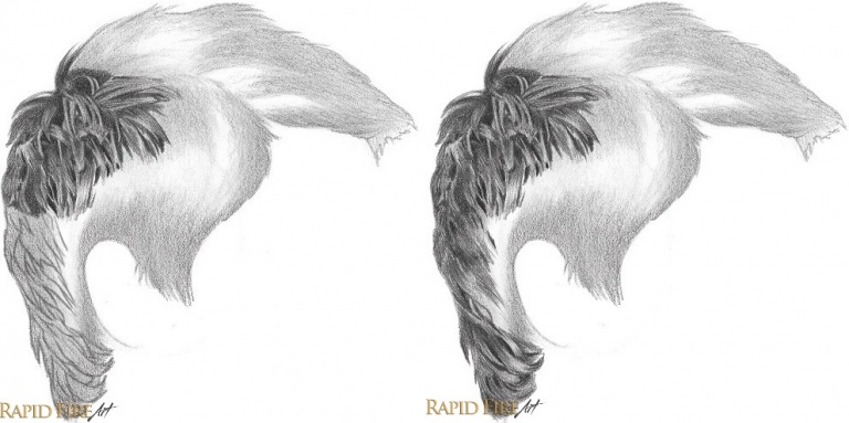 10 steps on how to draw short hair | RapidFireArt