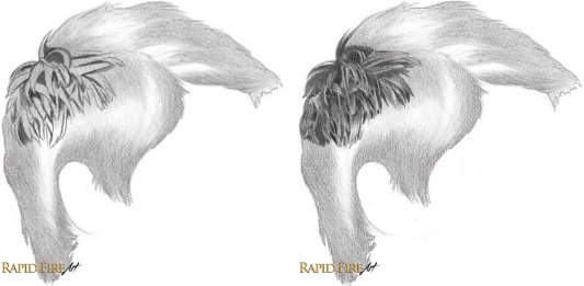 10 steps on how to draw short hair | RapidFireArt