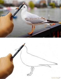 Lesson 4: How to Draw with Accurate Proportions | RapidFireArt