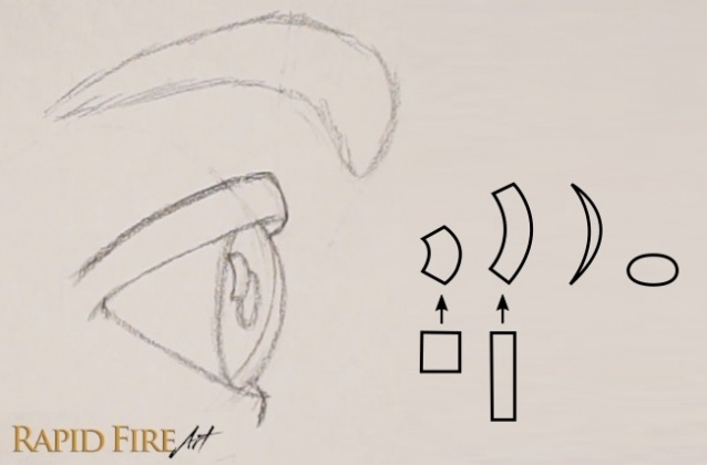 How Draw a Realistic Eye From the Side | RapidFireArt