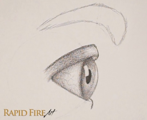 How Draw a Realistic Eye From the Side | RapidFireArt