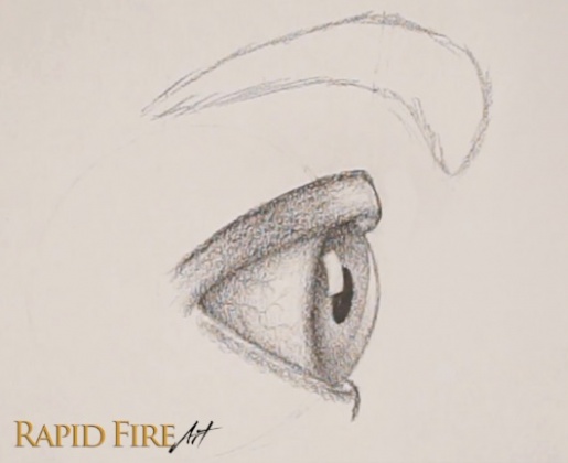 How Draw a Realistic Eye From the Side | RapidFireArt