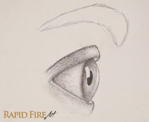 How to Draw a Realistic Eye From the Side _ Eyelashes and Eyebrow RFA ...