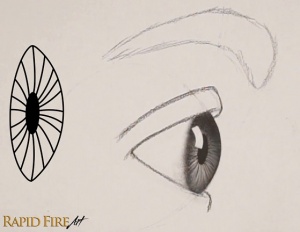 How Draw a Realistic Eye From the Side | RapidFireArt