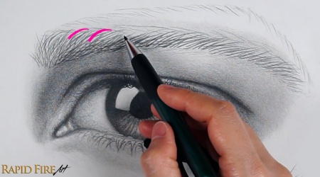 How to Draw a Male Eyebrow | RapidFireArt