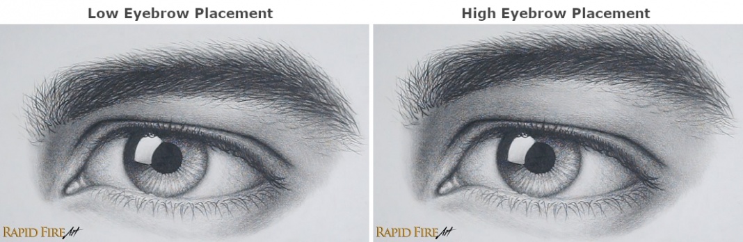 How to Draw a Male Eyebrow | RapidFireArt