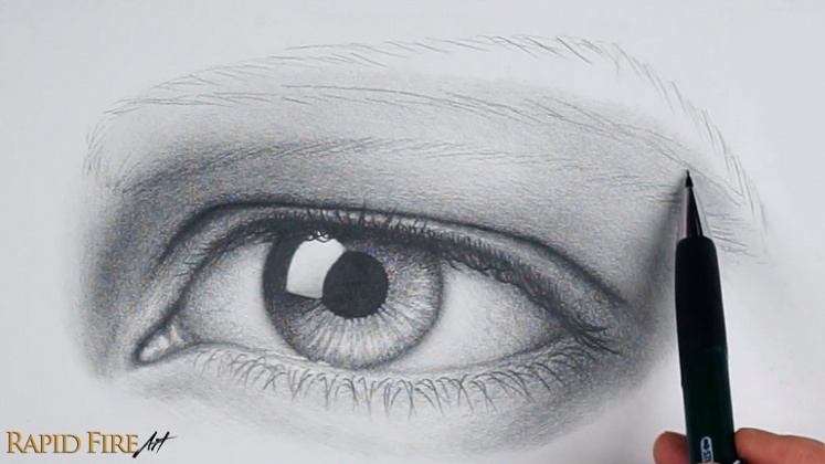 How to Draw a Male Eyebrow | RapidFireArt