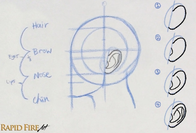 How to Draw a Face from the SIDE (Loomis Method) | RapidFireArt