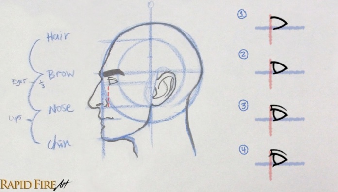 How to Draw a Face from the SIDE (Loomis Method) | RapidFireArt