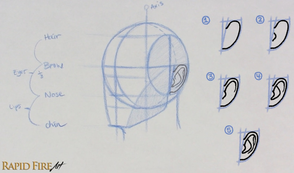 How to Draw a Face from the 3/4 VIEW (Loomis Method) | RapidFireArt