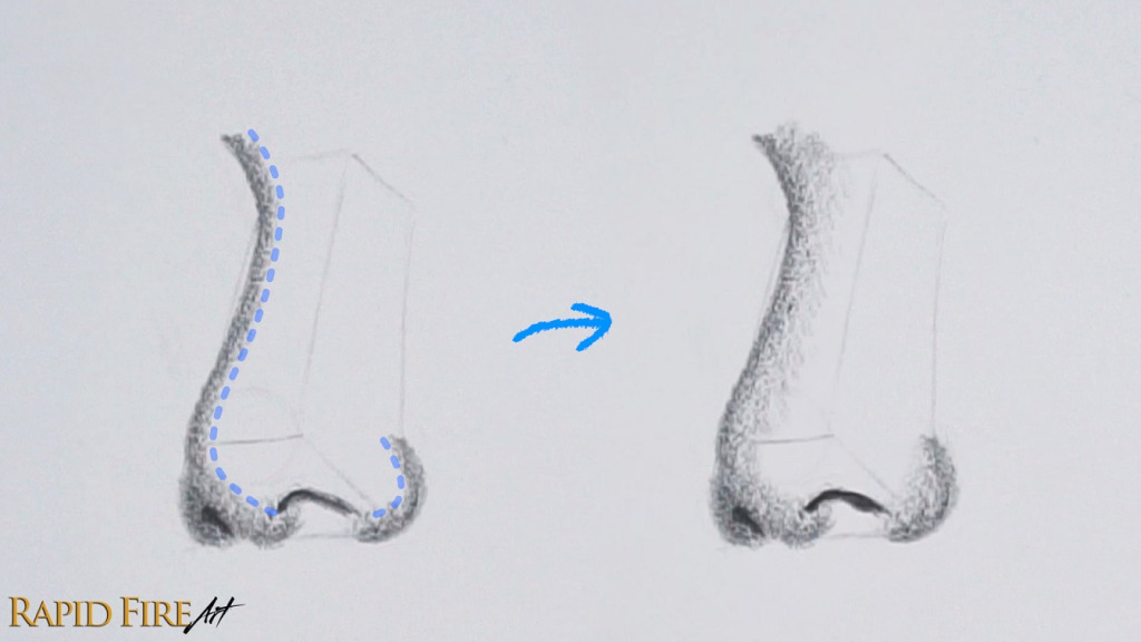 How to Draw and Shade a Nose from the 3/4 view | RapidFireArt