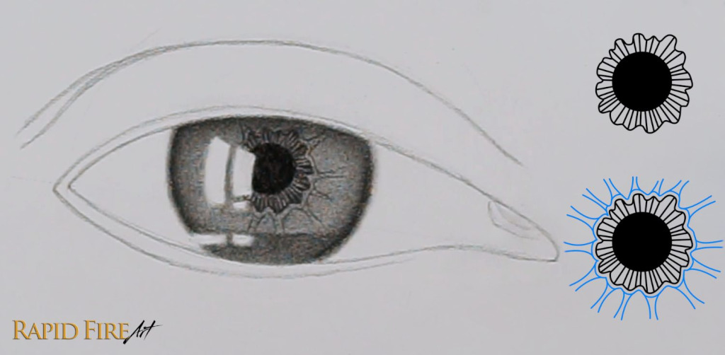 How to Draw a Teary Eye in 12 Steps | RapidFireArt