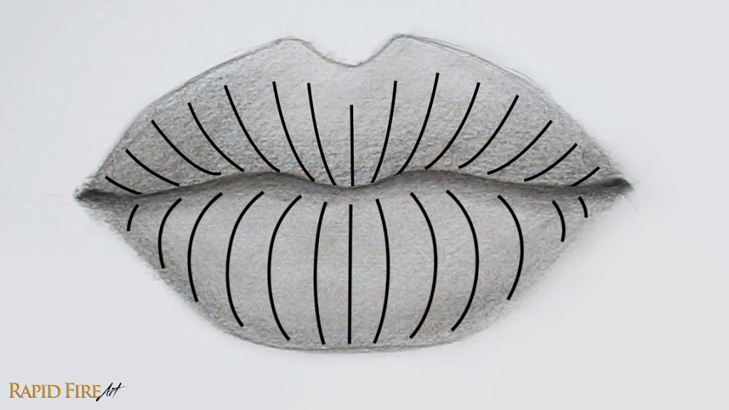 How to Draw Lips – 8 Steps | HB Pencil | RapidFireArt